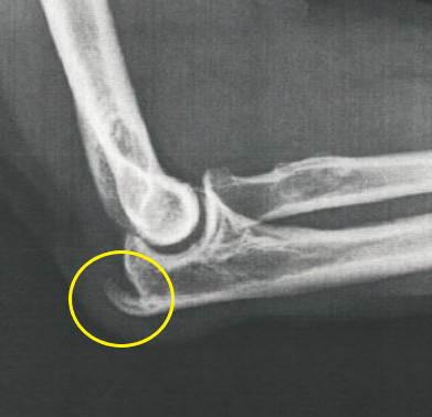 Definition of Terms – Dr. Edward Weldon