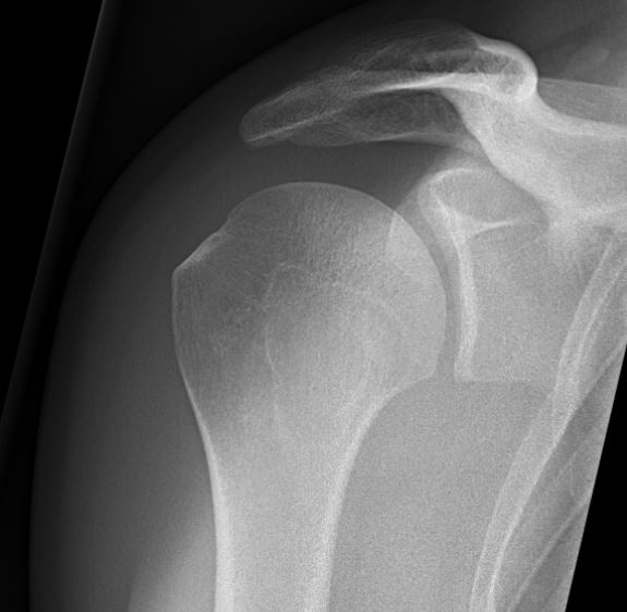 Definition of Terms – Dr. Edward Weldon